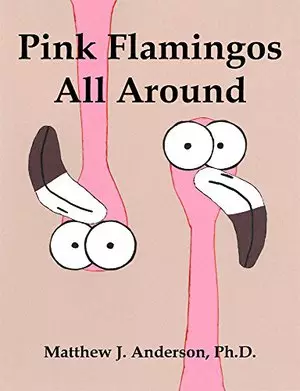 Anteprima della miniatura del video 'Pink Flamingos All Around