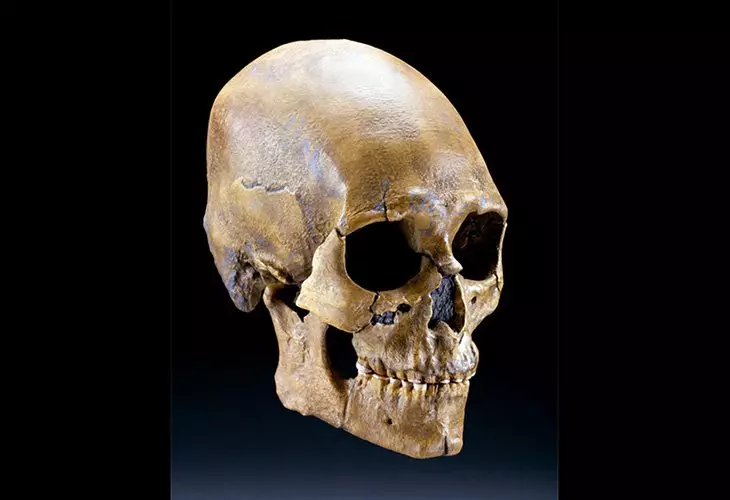 Чоловічий череп Кенневіка