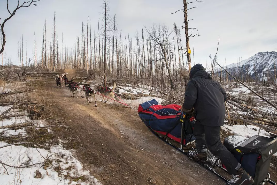 Syv måter Alaska ser klimaendringer på