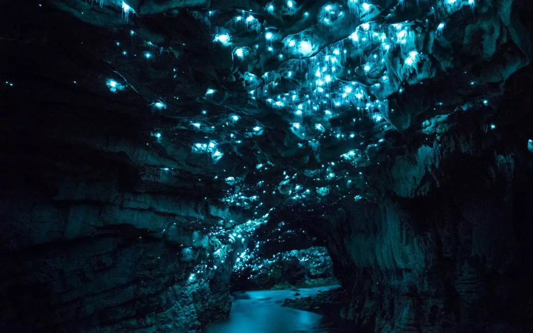 Úchvatné fotografie jeskyní Glowworm na Novém Zélandu s dlouhou expozicí 48596_14