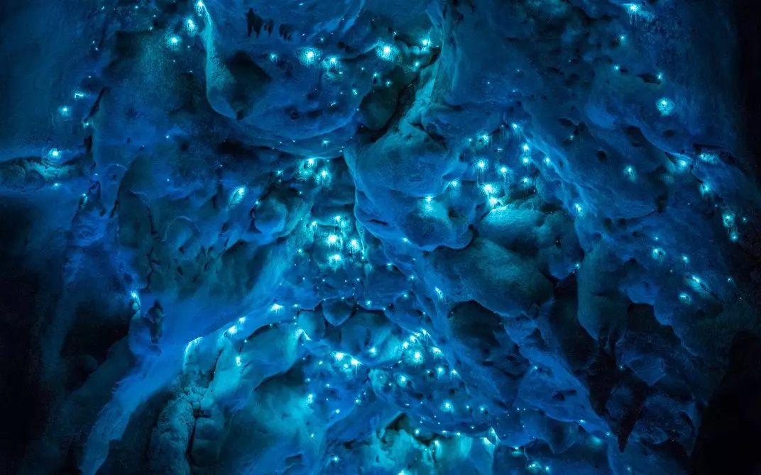 Úchvatné fotografie jeskyní Glowworm na Novém Zélandu s dlouhou expozicí 48596_2