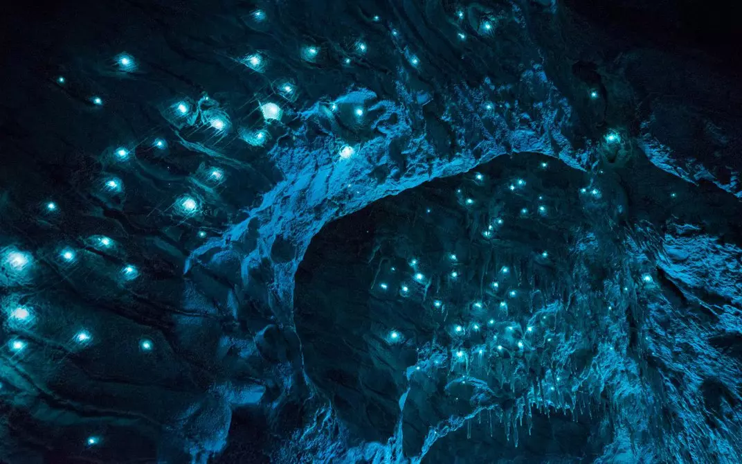 Úchvatné fotografie jeskyní Glowworm na Novém Zélandu s dlouhou expozicí 48596_9