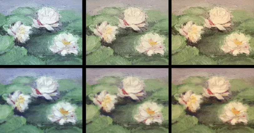 RePaint-Flowers-MIT-00_0.png