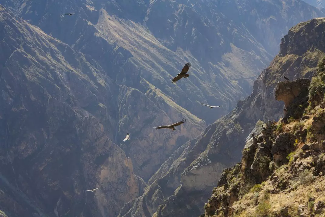 Sleep With the Condors at This Peruvian Hotel Hanging Off a Cliff 48873_14