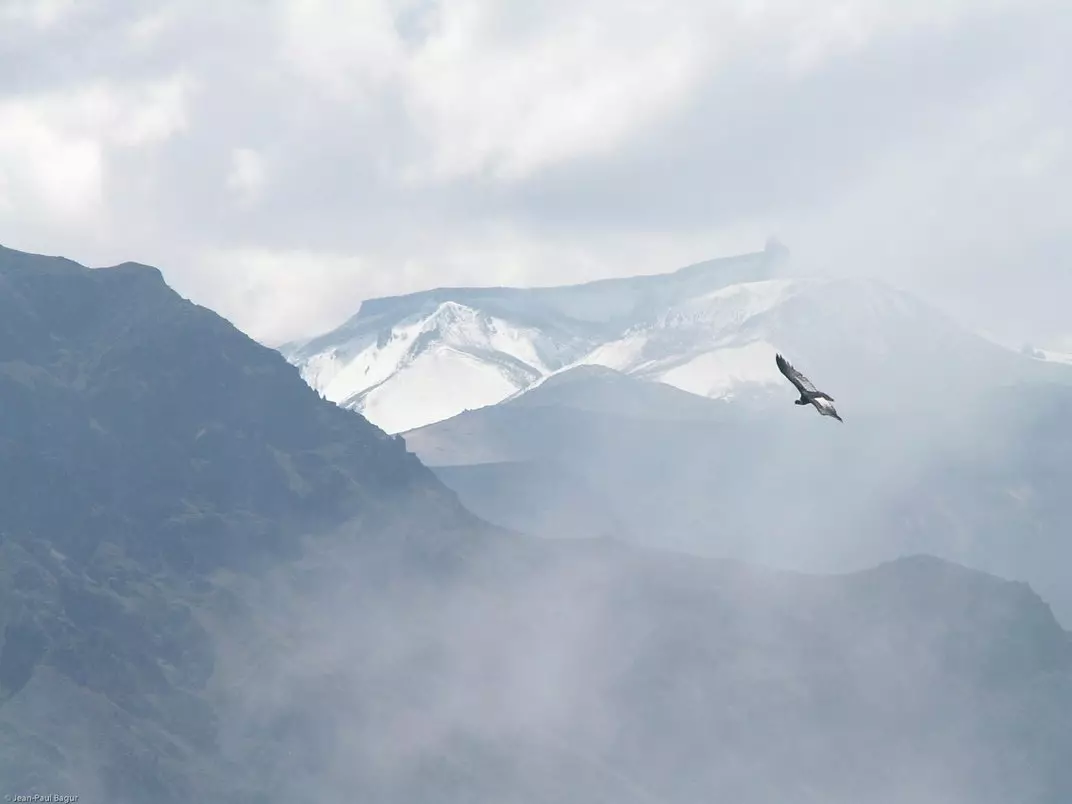 Sleep With the Condors at This Peruvian Hotel Hanging Off a Cliff 48873_16