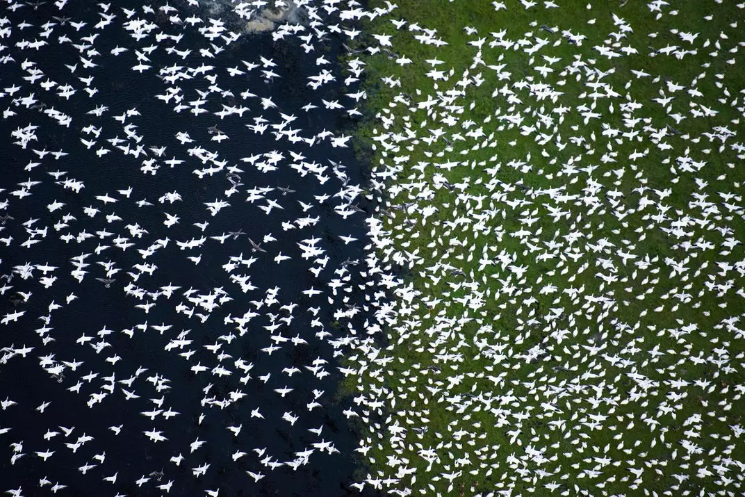 Des tentacules de lave aux parkings abandonnés, ce célèbre violoniste devenu photographe aérien capture notre monde à 2 000 pieds d'altitude 48921_8