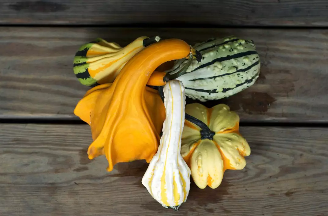 Ntau Gourds