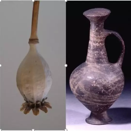 Ibisigisigi bya Opium Poppy iboneka muri Bronze Age Juglet