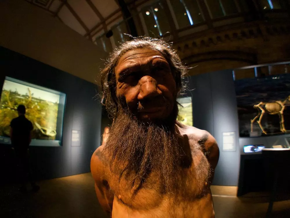 Hmoob neanderthalensis
