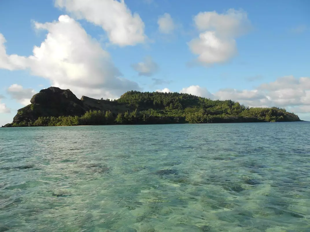 Οστά αρουραίων αποκαλύπτουν πώς οι άνθρωποι μεταμόρφωσαν το περιβάλλον του νησιού τους
