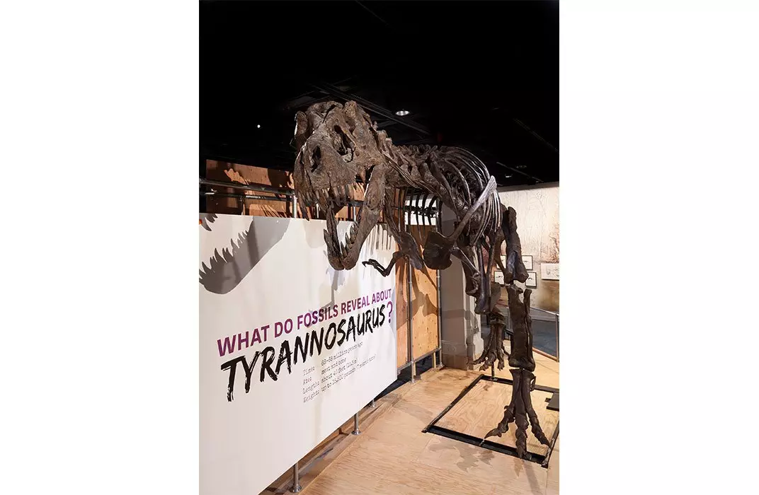 Inona no azon'ny Dinosaurs ambara amintsika momba ny krizy momba ny zavamananaina ankehitriny? 49142_6