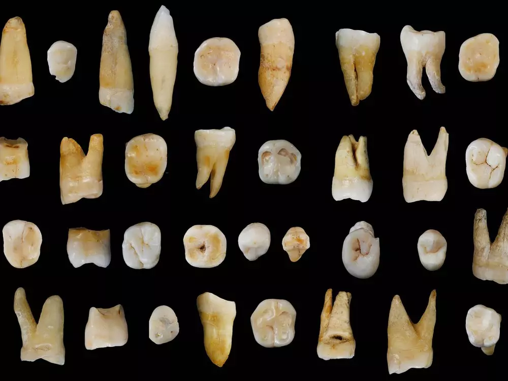 Os dentes fosilizados revelan que os humanos estaban en Asia moito antes de Europa