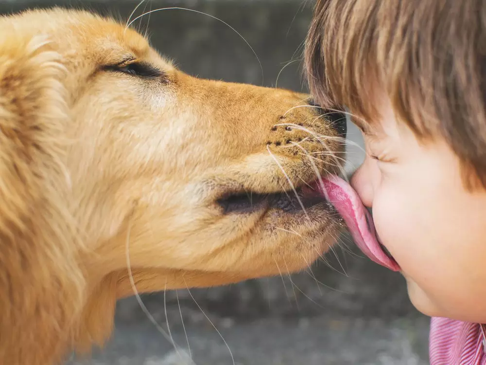 犬の共感.jpg