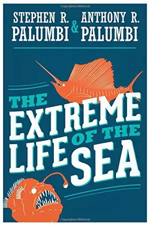 'The Extreme Life of the Sea' ဗီဒီယိုအတွက် ပုံသေးကို အစမ်းကြည့်ပါ။