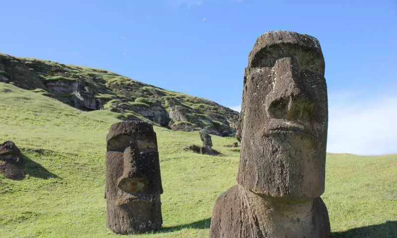 Amathuluzi Anikeza Okuyinkimbinkimbi Kakhudlwana, Isithombe Sokubambisana se-Easter Island Society