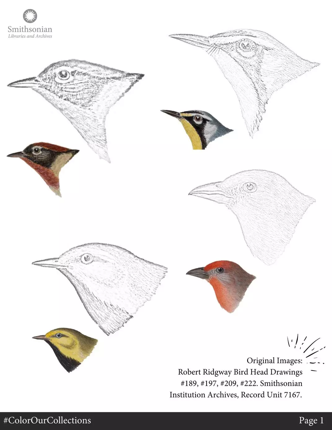 Вось ваш шанец размаляваць бібліятэкі і архіўныя калекцыі Smithsonian 49326_2