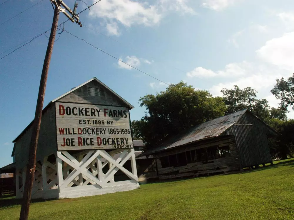 Where the Blues Was Born