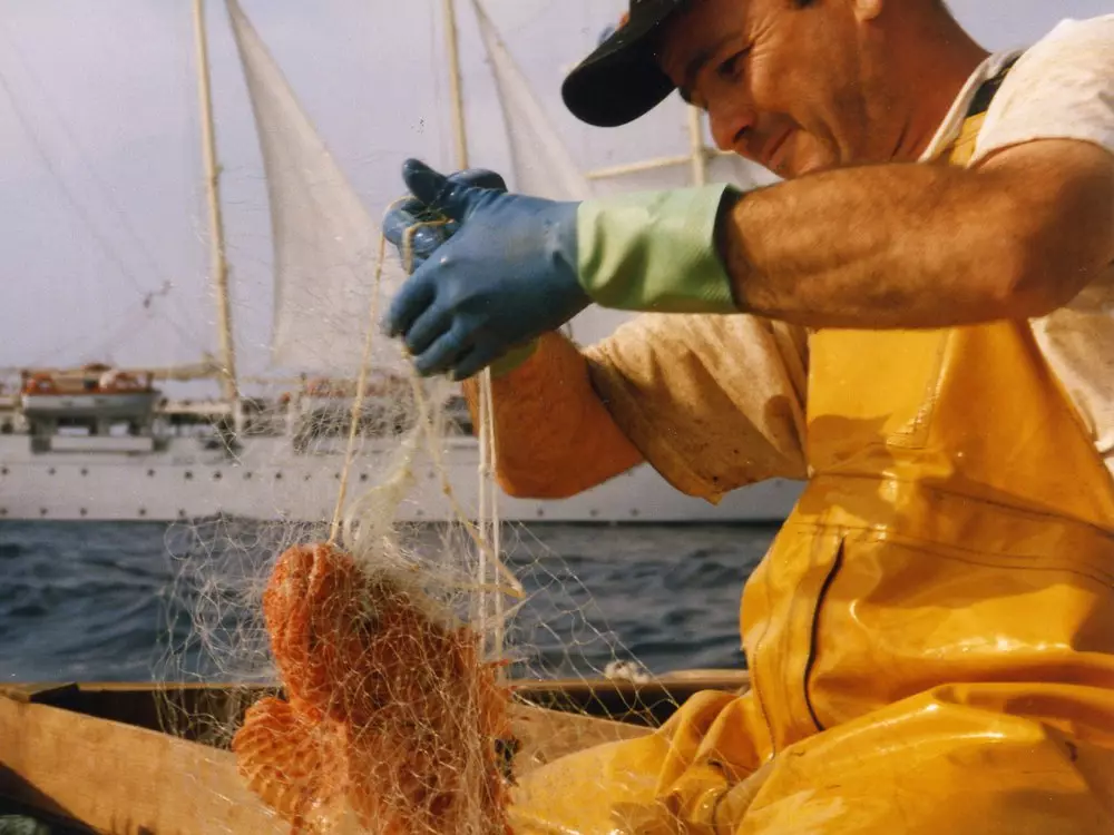 Yadda Komawa ga Al'adun Tarihi Zai Iya Ajiye Kamun Kifi na Red Shrimp na Catalonia