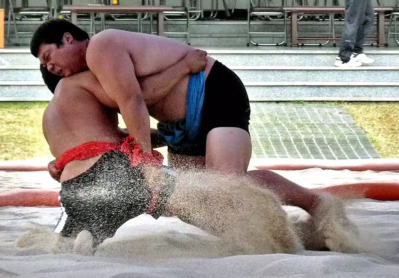 Korean Wrestling 2