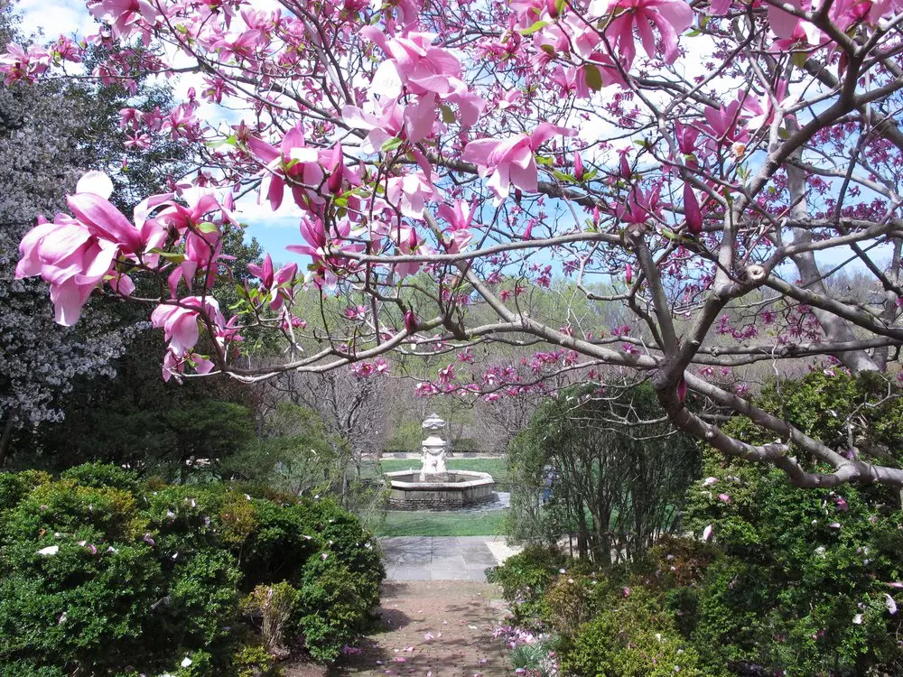 Zahrada Dumbarton Oaks