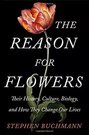 花の理由のプレビューサムネイル：花の歴史、文化、生物学、そして花が私たちの生活をどのように変えるか