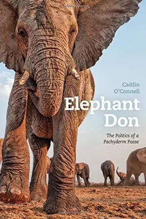 Eelvaate pisipilt filmist Elephant Don: The Politics of a Pachyderm Posse