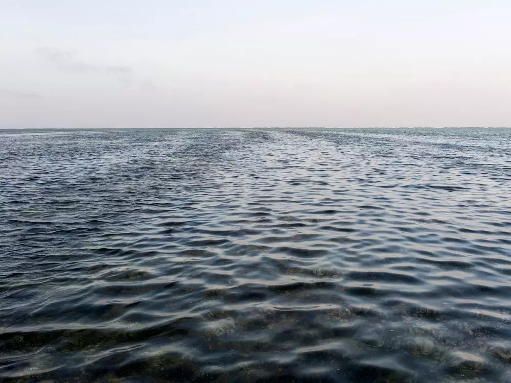 নতুন মেরিন রোবট একদিন মহাসাগরে টহল দিতে পারে