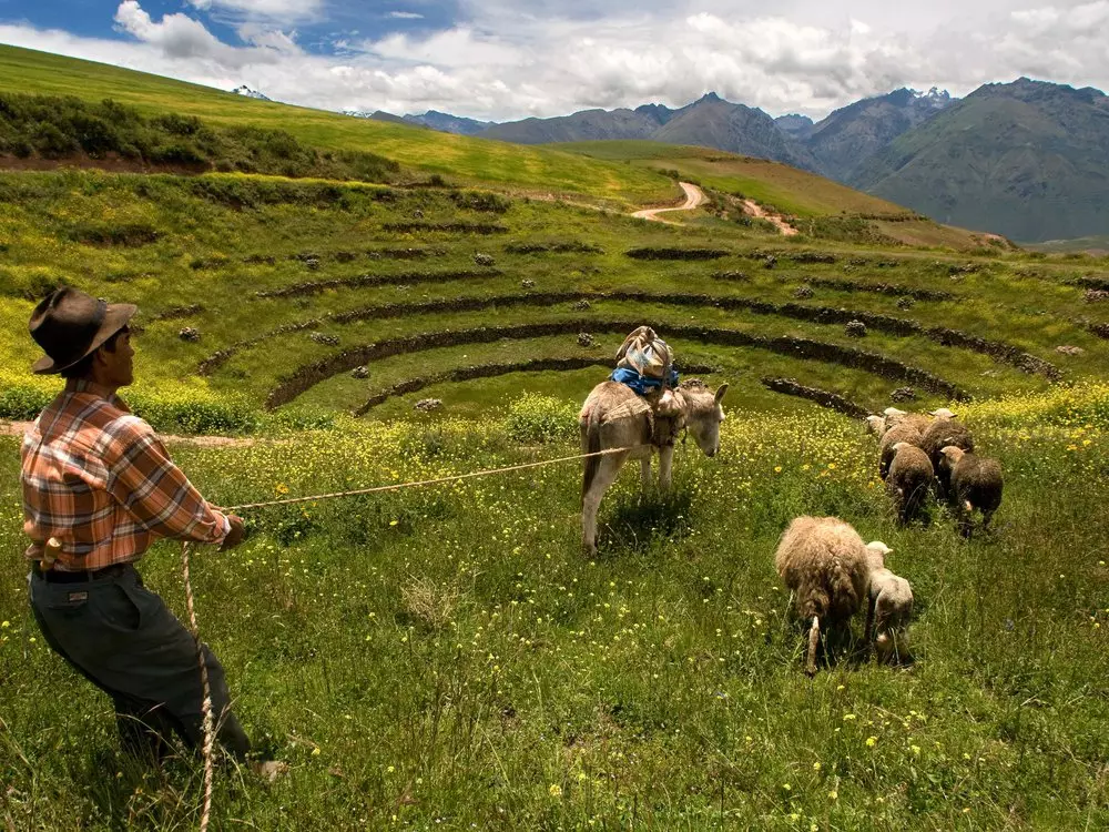 Yintoni Enyamezelayo Kwimpucuko Yamandulo Eyake Yalawula I-Andes Ephakathi?