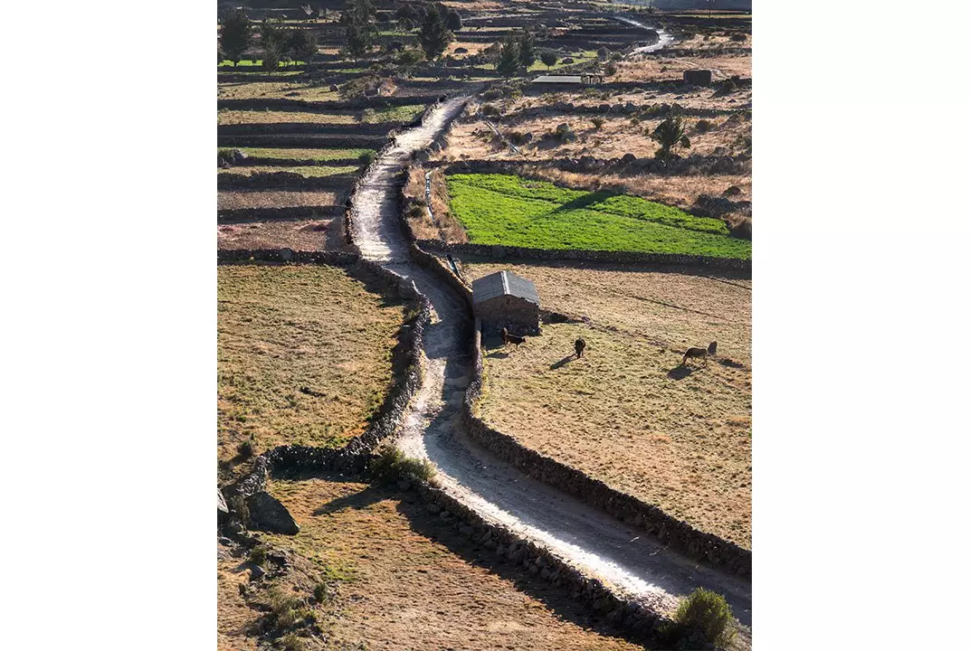 วิธีที่ Inca Empire สร้างถนนข้ามภูมิประเทศที่รุนแรงที่สุดในโลกบางส่วน 49713_23