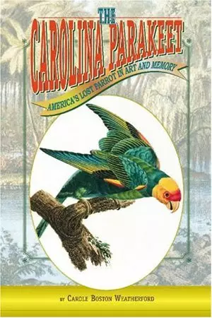 Jonga i-thumbnail ye-'Carolina Parakeet: I-Parrot elahlekileyo yaseMelika kubuGcisa kunye neMemori