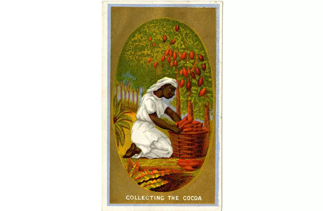 La breve ascesa e caduta della mania delle carte Crazy-for-Cocoa-Trade 49763_15