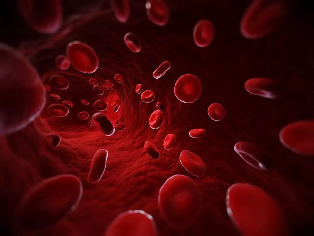 Ilustrasi komputer sel darah merah dalam pembuluh darah