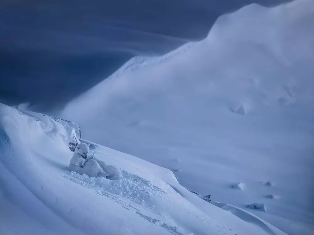 Fotografer Iki Nangkep Kaendahan lan Drama Greenland Timur ing Akhir Musim Dingin