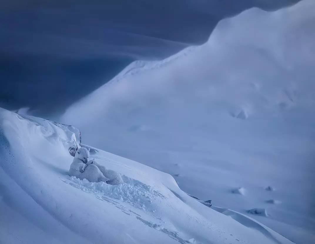 Ce photographe capture la beauté et le drame de l'est du Groenland à la fin de l'hiver 49859_6