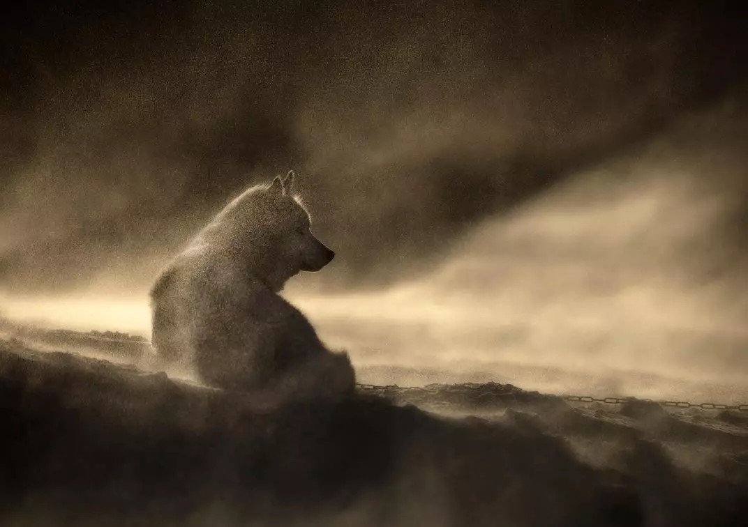 Ce photographe capture la beauté et le drame de l'est du Groenland à la fin de l'hiver