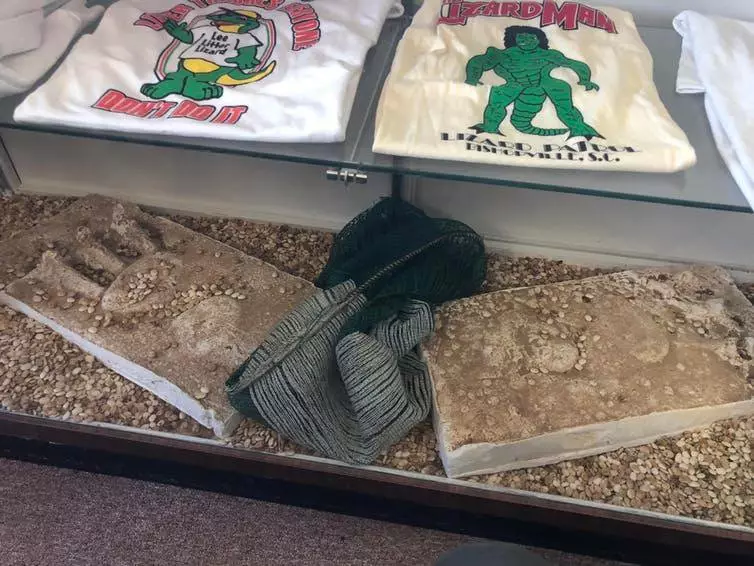 Plaster Lizard Man nadruki i T-shirty na wystawie w Muzeum Bawełny w Karolinie Południowej.