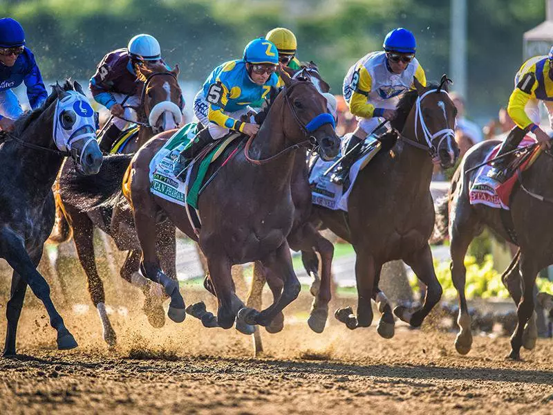 La vitesse des chevaux de course n'a pas encore atteint son maximum