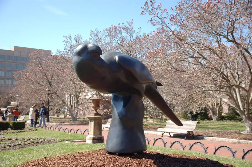 Esculturas de bronce de cinco pájaros extintos aterrizan en los jardines del Smithsonian 50099_3