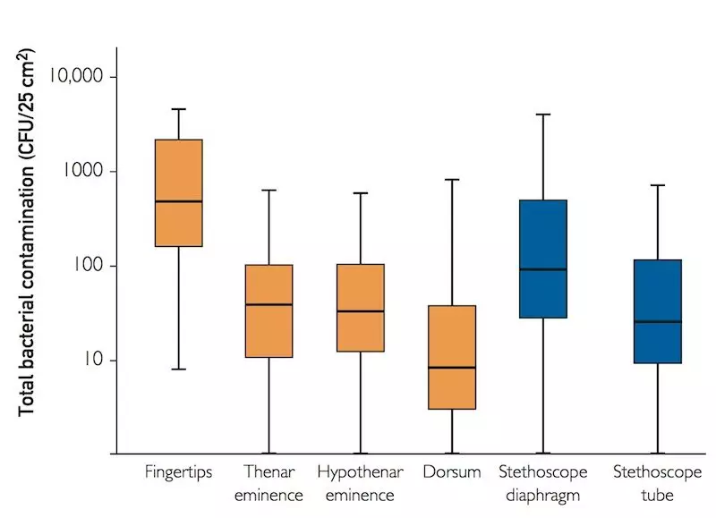 Läkarstetoskop kan överföra bakterier lika lätt som otvättade händer