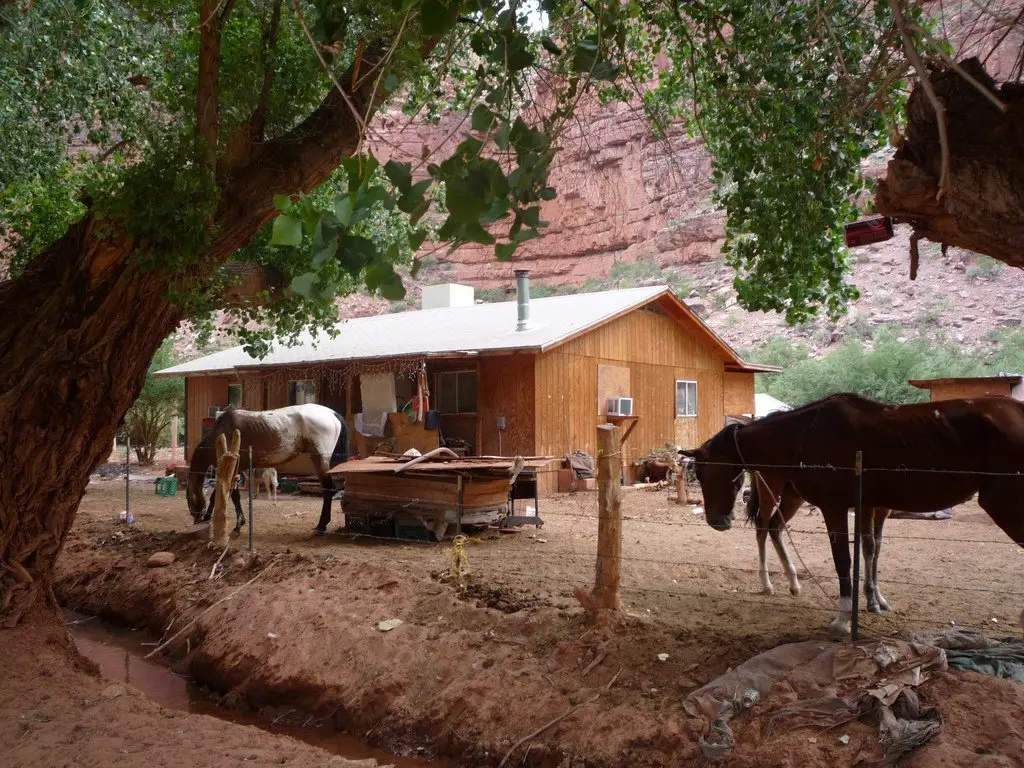 Besök den enda byn inne i Grand Canyon 50236_3