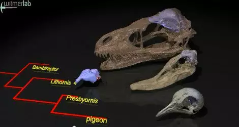 De grootste dinosaurushits van 2011