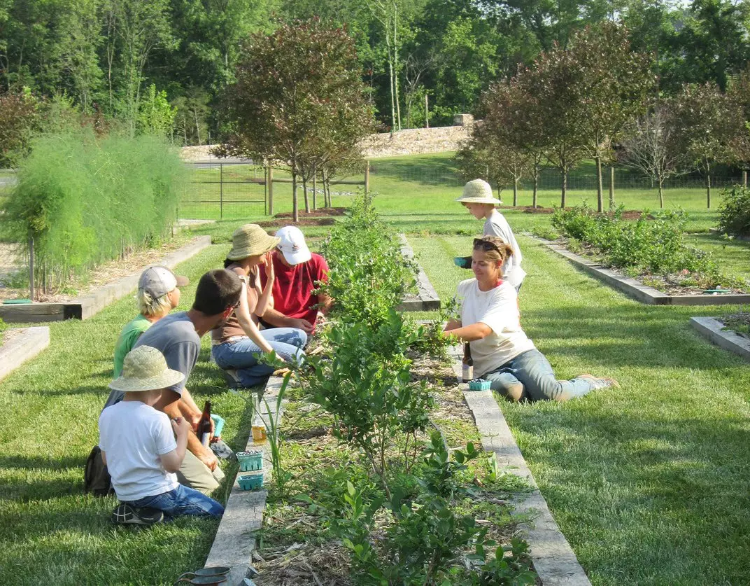 Çêkirina Farm li hewşa xwe 50372_17