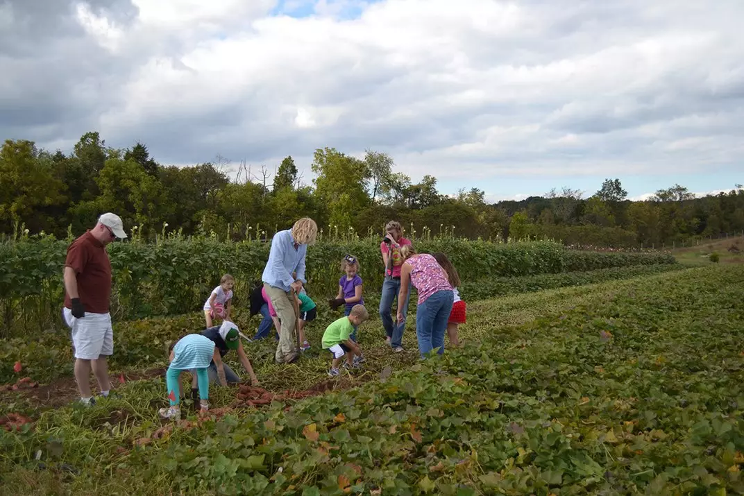 Amenez la ferme dans votre jardin 50372_3