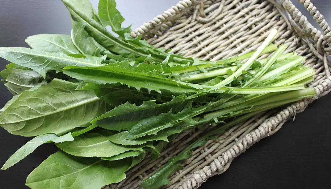 Naon anu kuring laksanakeun sareng Dandelion Greens?