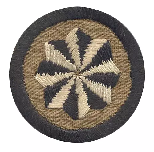 Comment l'histoire des badges de mérite est aussi une histoire culturelle des États-Unis 50394_4