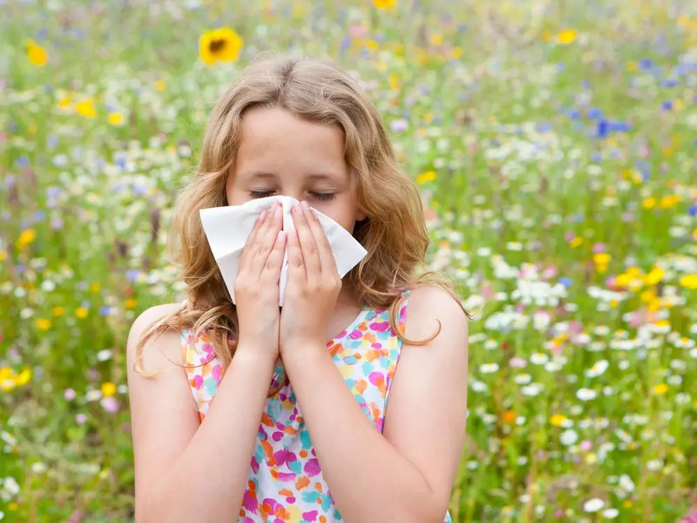 Hast allergyen? Luchtfersmoarging kin de skuld wêze