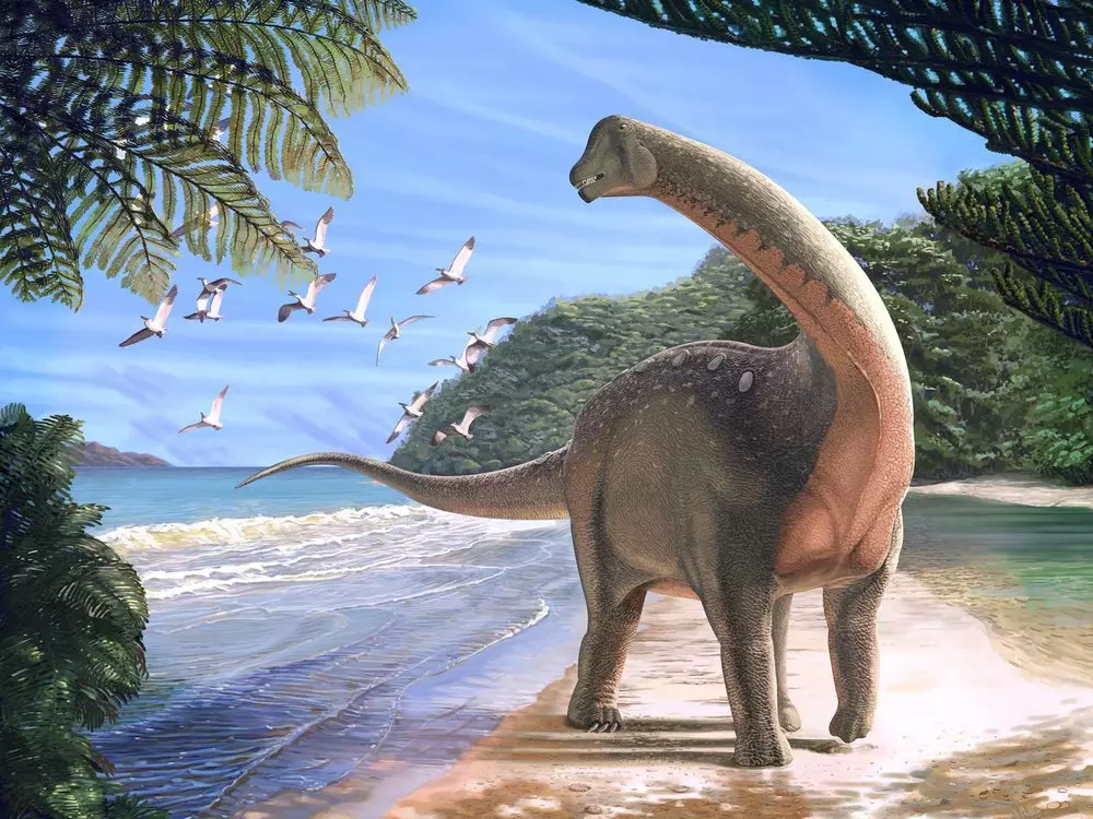 Afrikako titanosauroen aurkikuntzak dinosauroen bilakaera askatzen laguntzen du