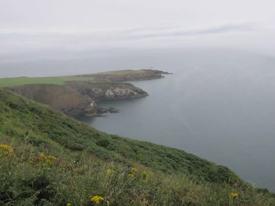 Ilha remota