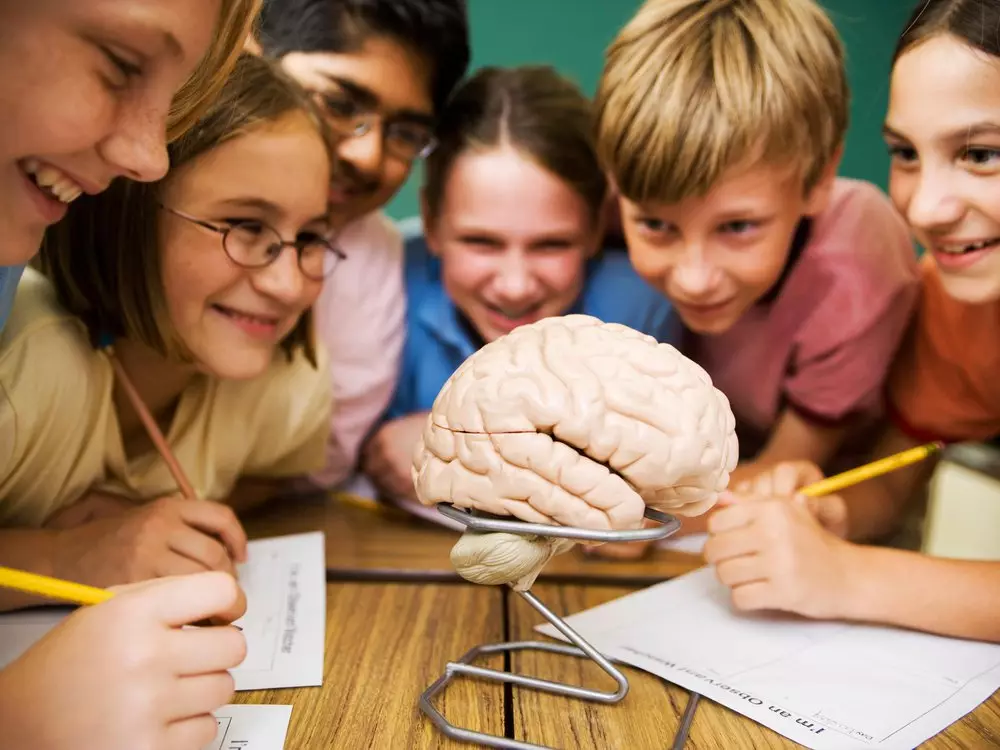 Ses maniere waarop skole neurowetenskap gebruik om kinders te help leer