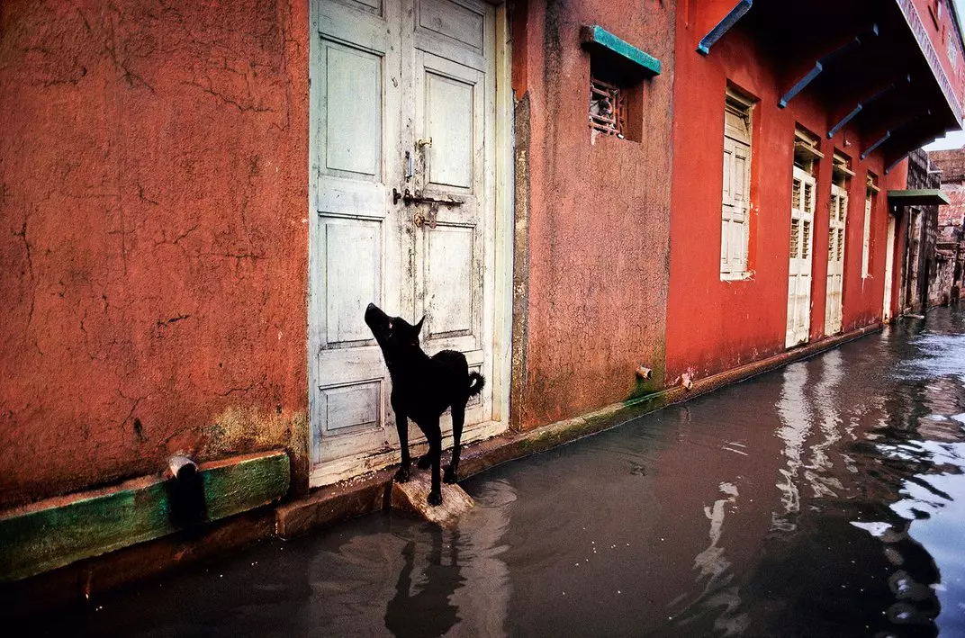 Steve McCurry se nuwe fotografieboek oor Indië is dekades in wording 50537_6